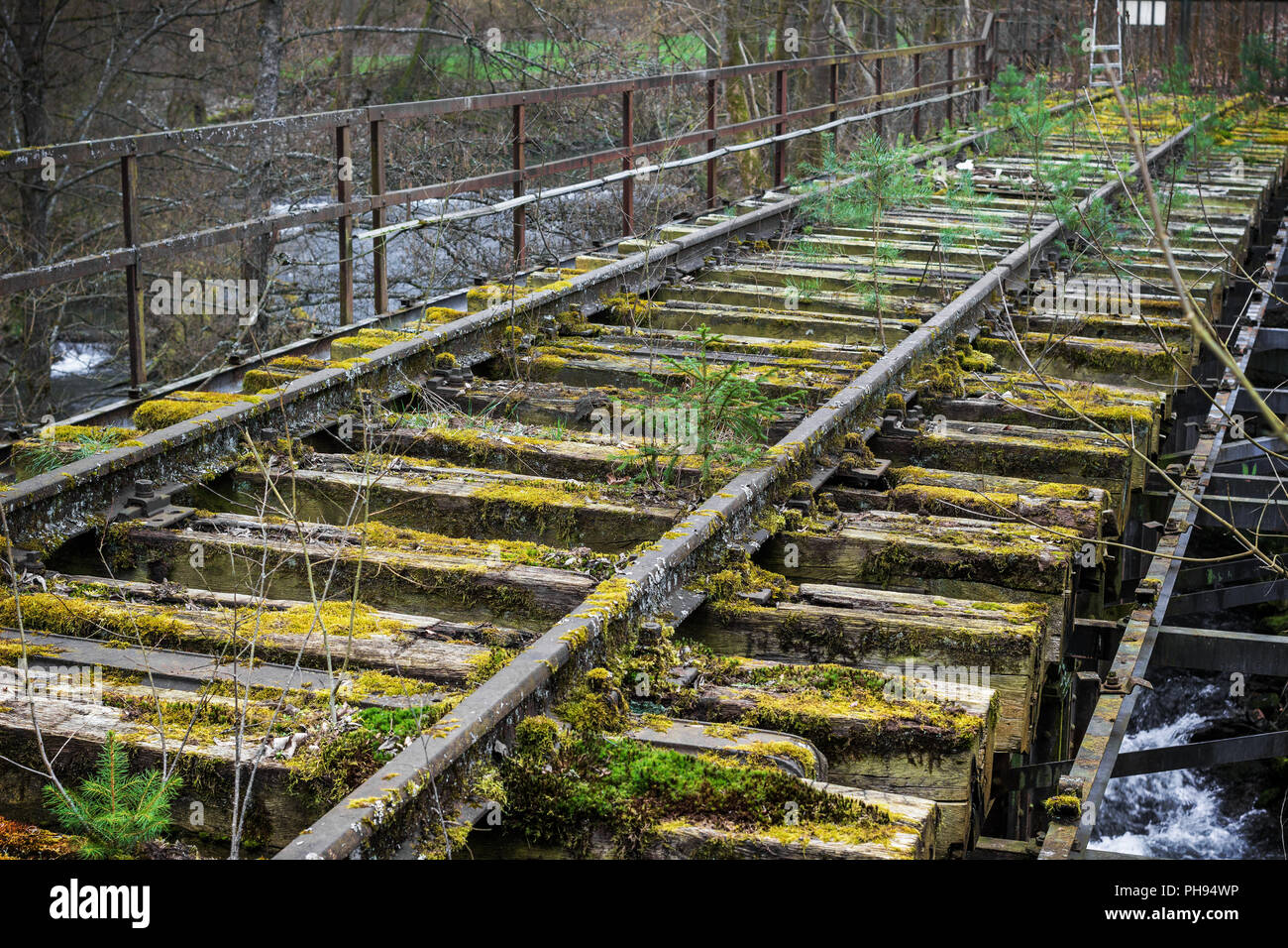 Overgrown railway track hi-res stock photography and images - Alamy