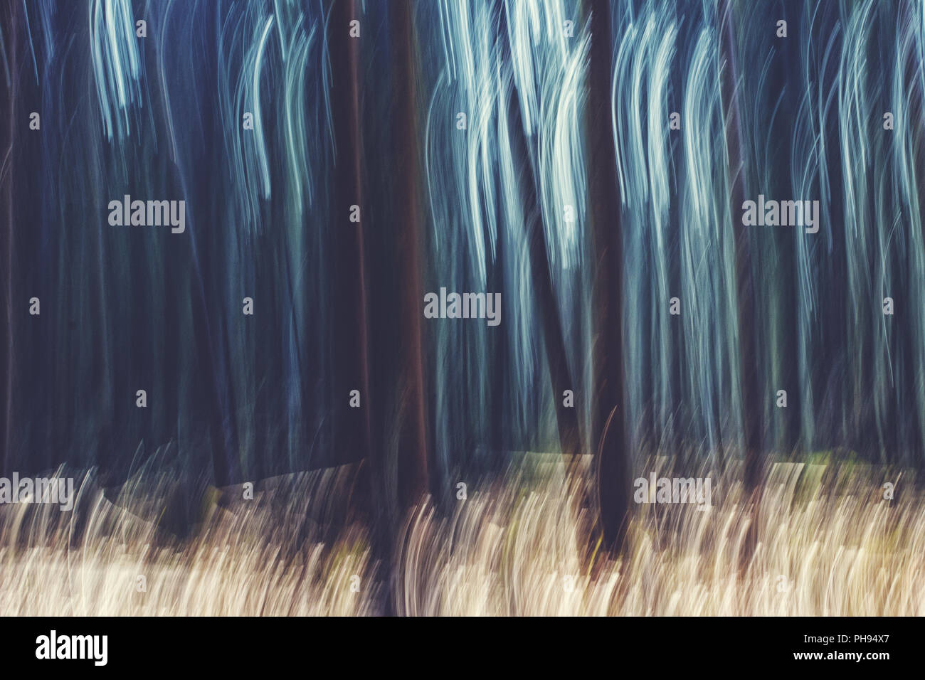 Abstract forest, blurred motion Stock Photo - Alamy