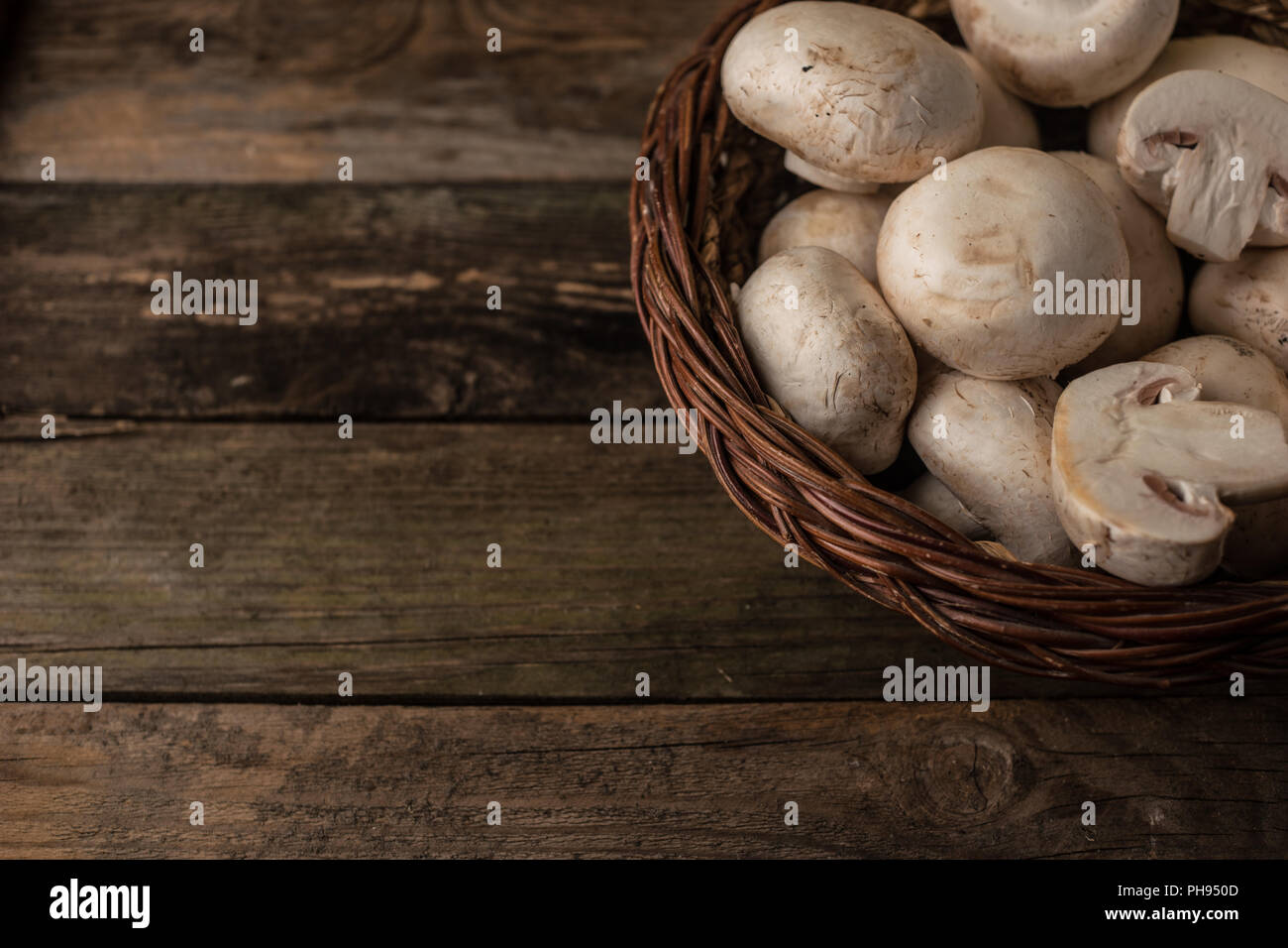 Round fungi hi-res stock photography and images - Alamy