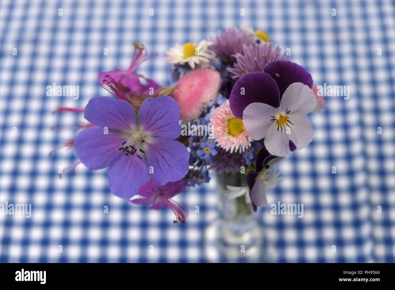 Small bunch of spring flowers Stock Photo - Alamy