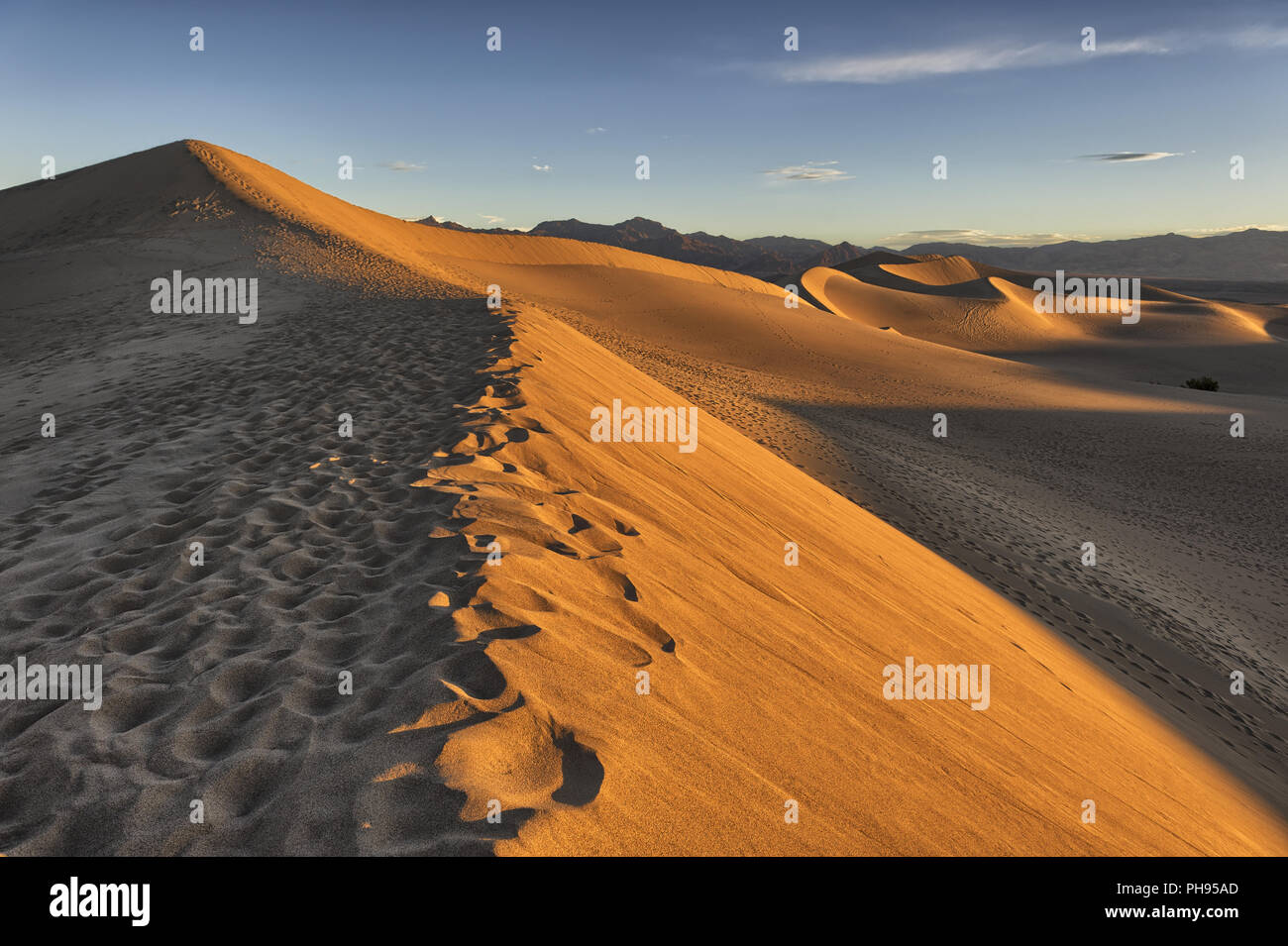 Flat on the sand hi-res stock photography and images - Alamy