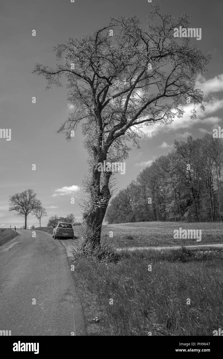 Car parked country road hi-res stock photography and images - Alamy