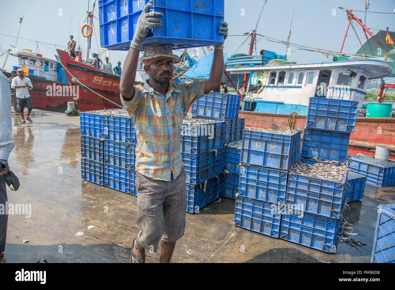 Young man on fish stall hi-res stock photography and images - Alamy