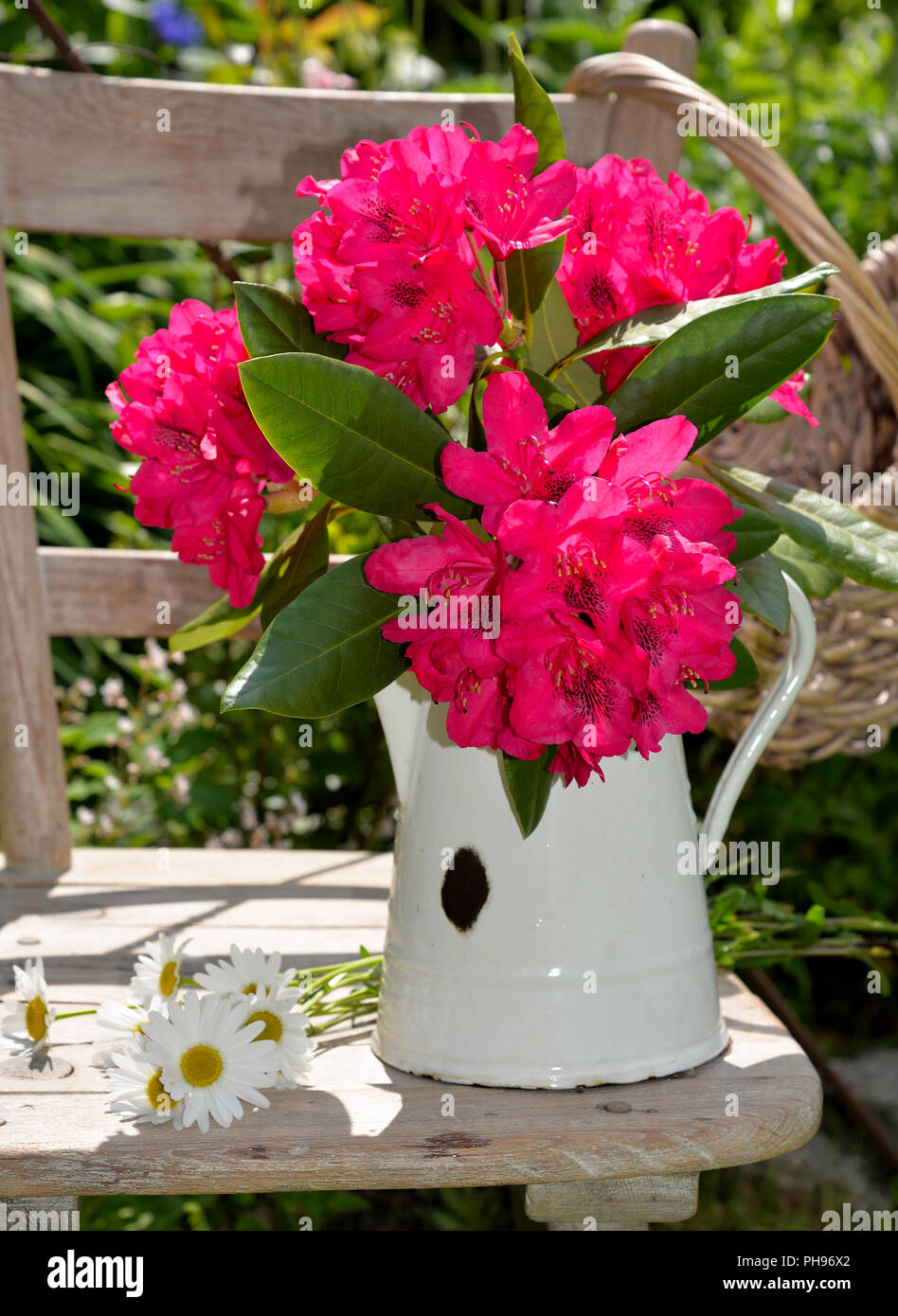 White milk jug hi-res stock photography and images - Alamy