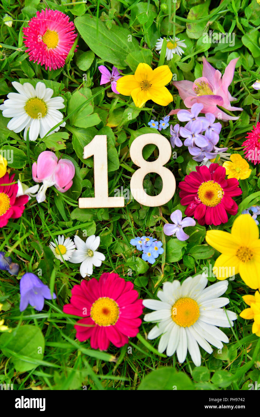 18 birthday number on flower meadow Stock Photo - Alamy