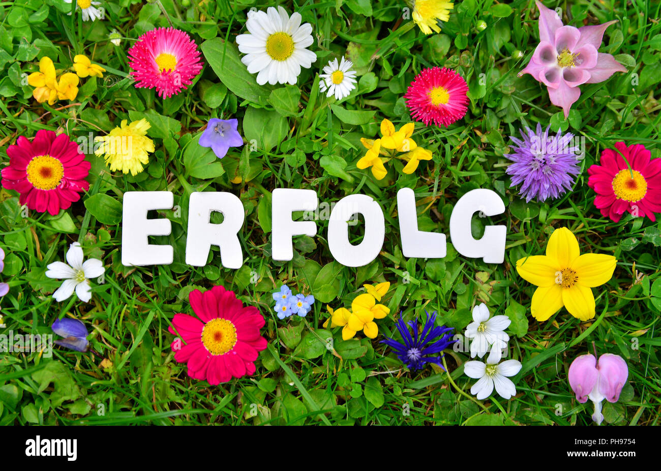 Text summer colorful letters hi-res stock photography and images - Alamy