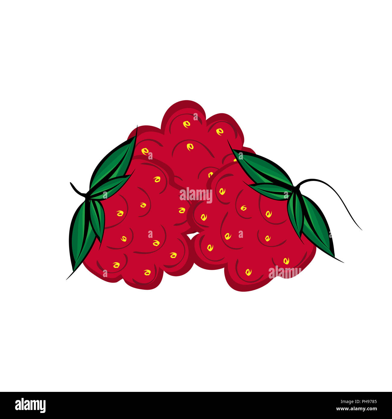 Garden berries close up Cut Out Stock Images & Pictures - Alamy