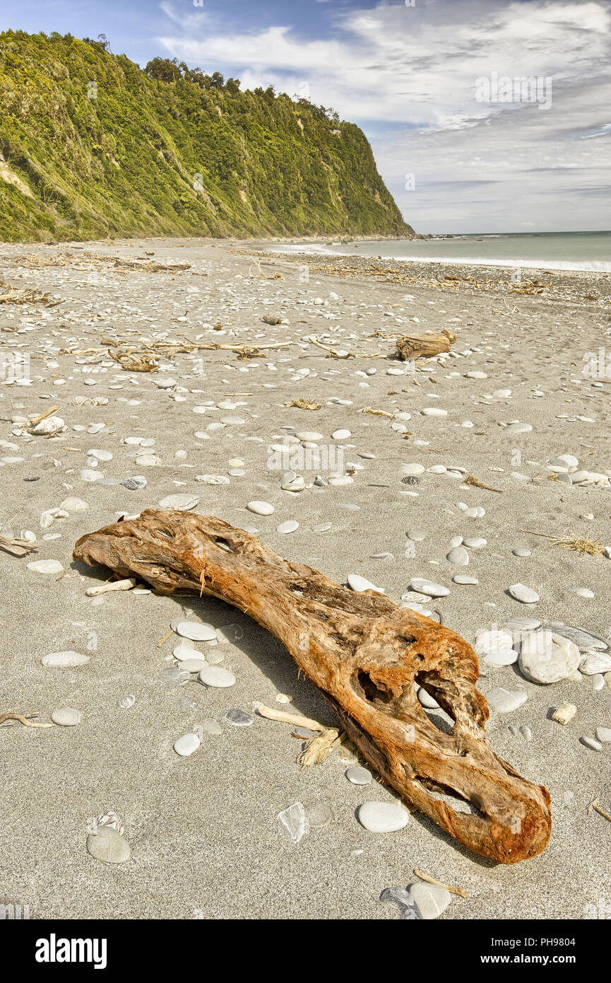 Driftwood and pebbles on Okarito Beach Stock Photo - Alamy