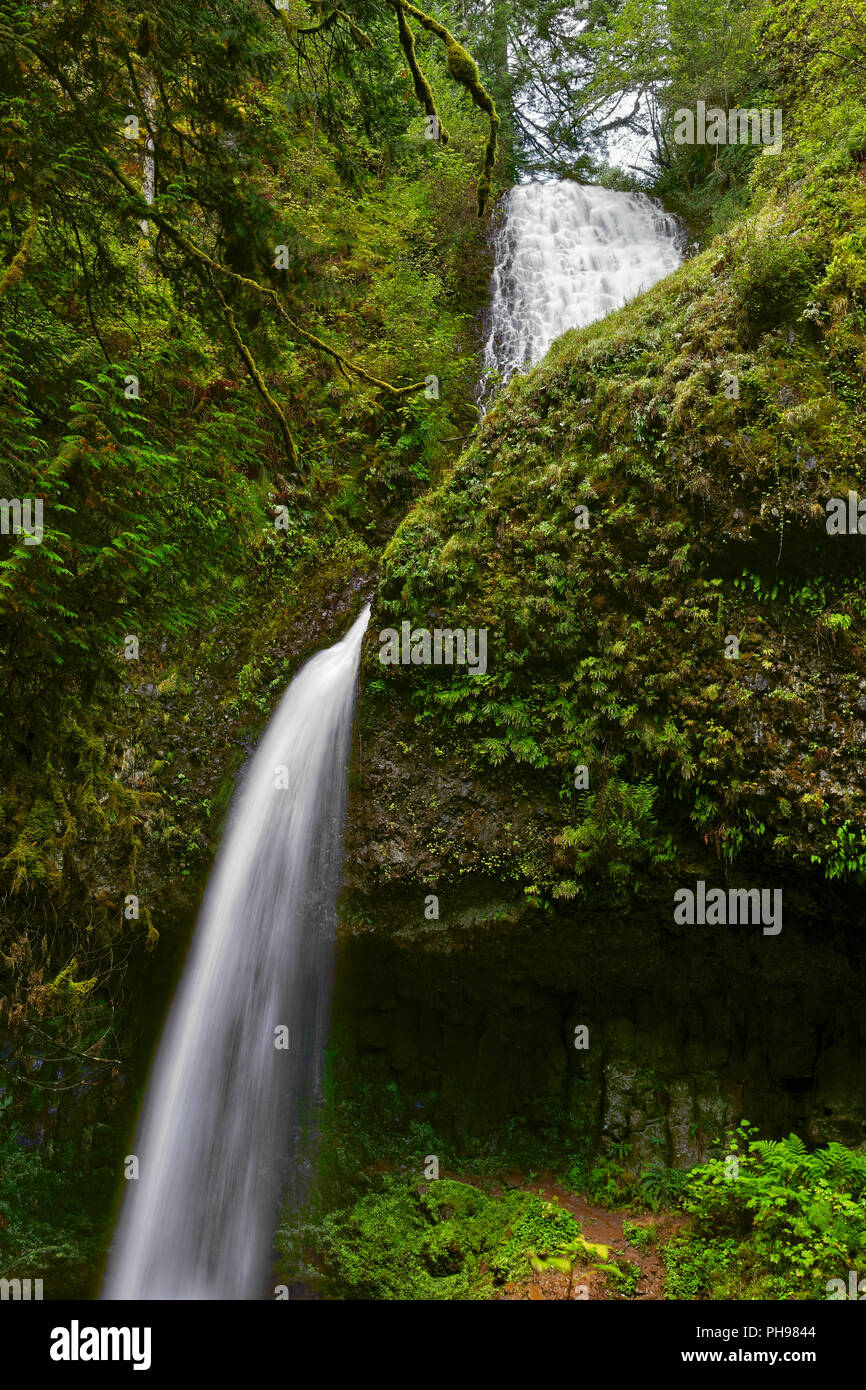 Upper Latourell Falls Stock Photo - Alamy