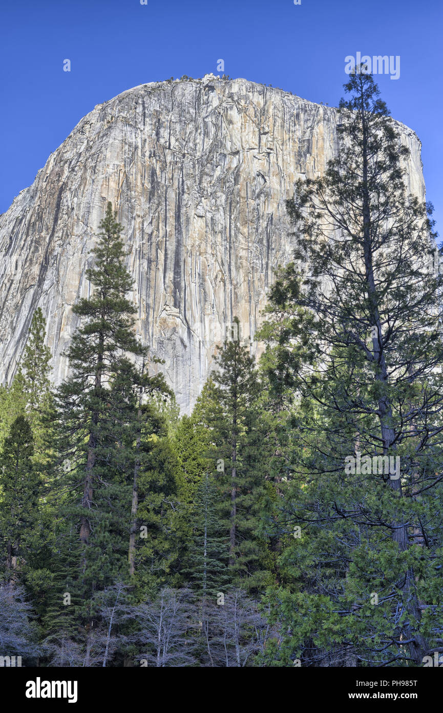 The el capitan hi-res stock photography and images - Alamy