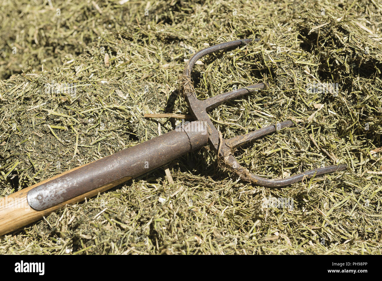 Traditional manure fork on a bale of cattle feed Stock Photo - Alamy