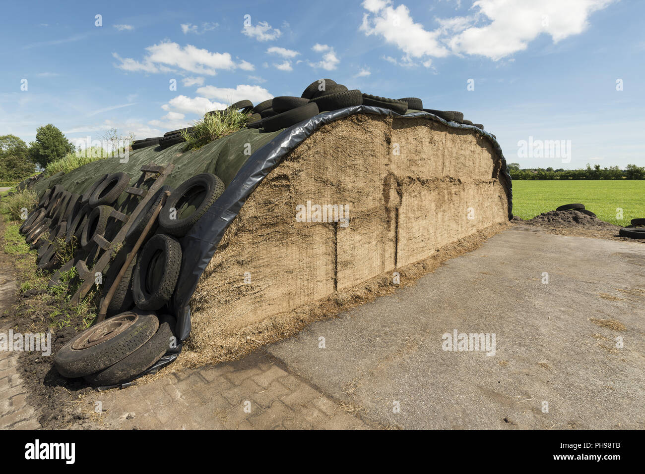 Ensilage hi-res stock photography and images - Alamy