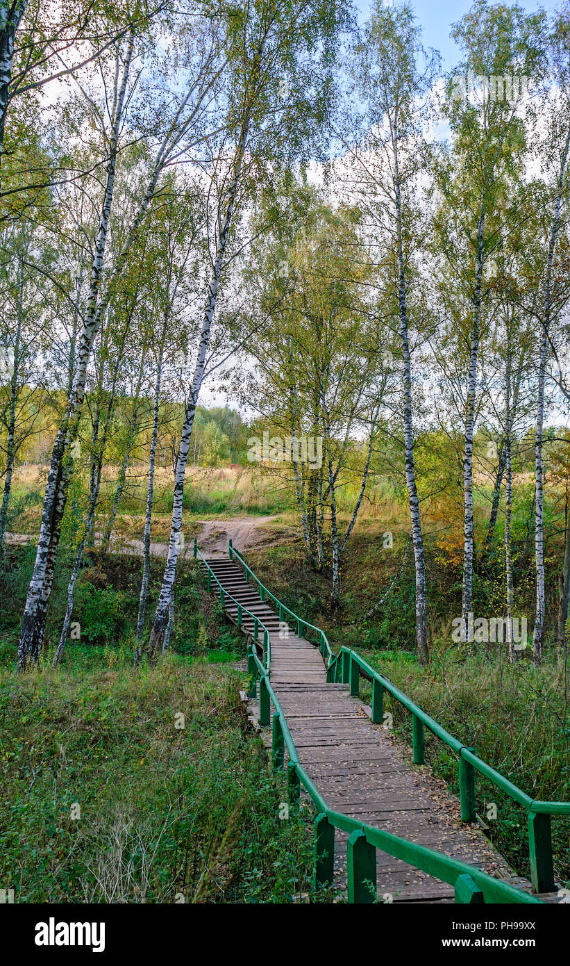 Plank wood pathway hi-res stock photography and images - Alamy