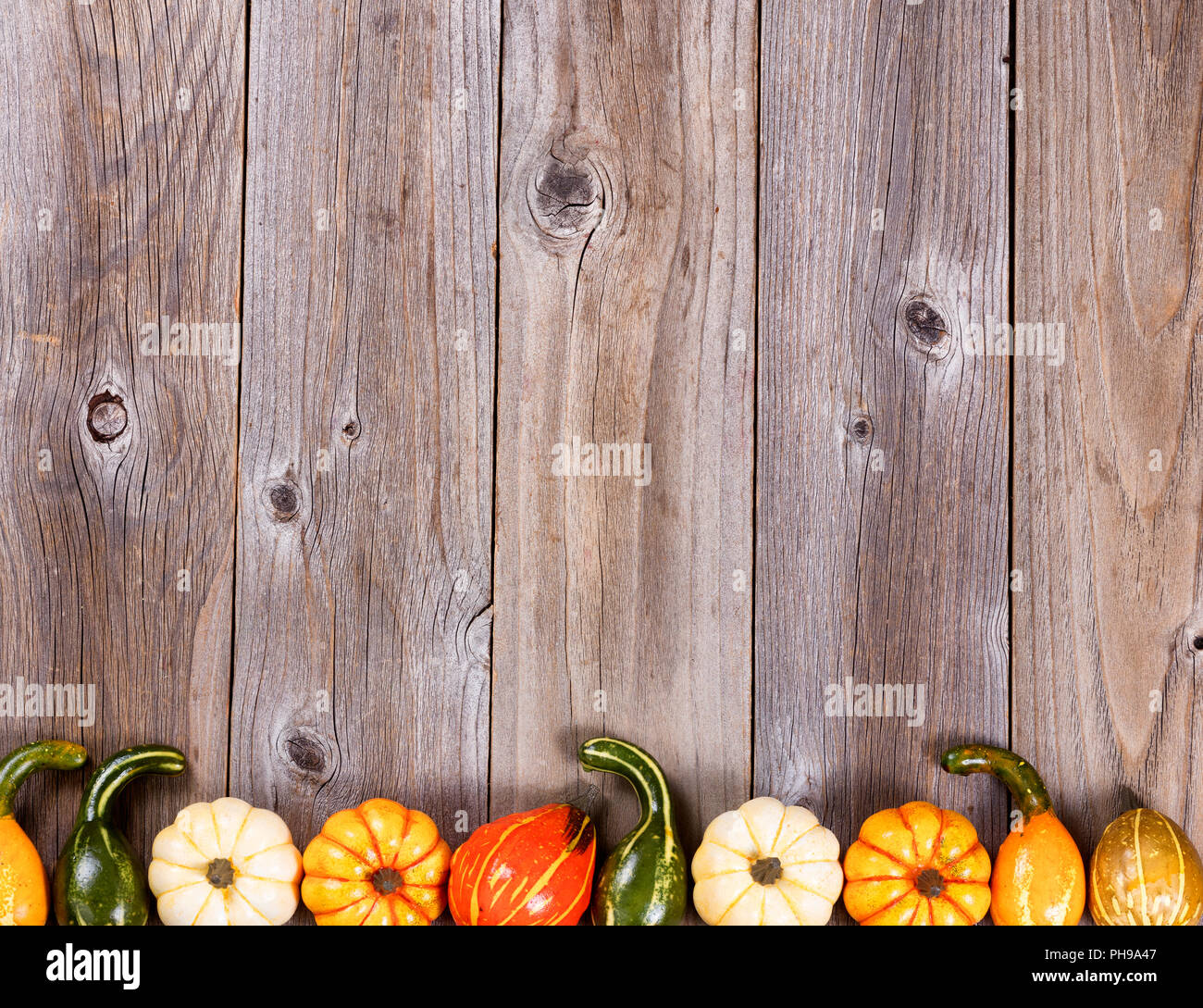 Bottom border of autumn gourd decorations on rustic wooden boards Stock ...