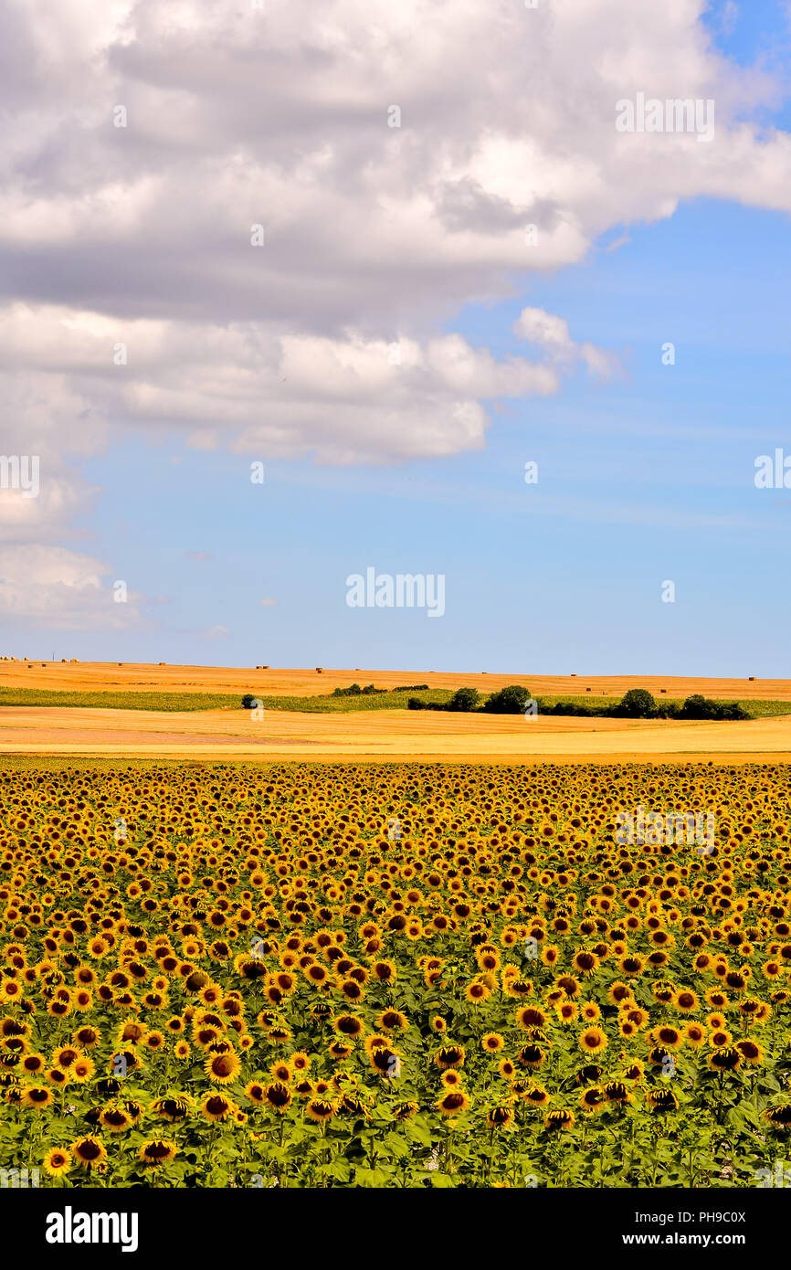 European natural countryside Stock Photo - Alamy