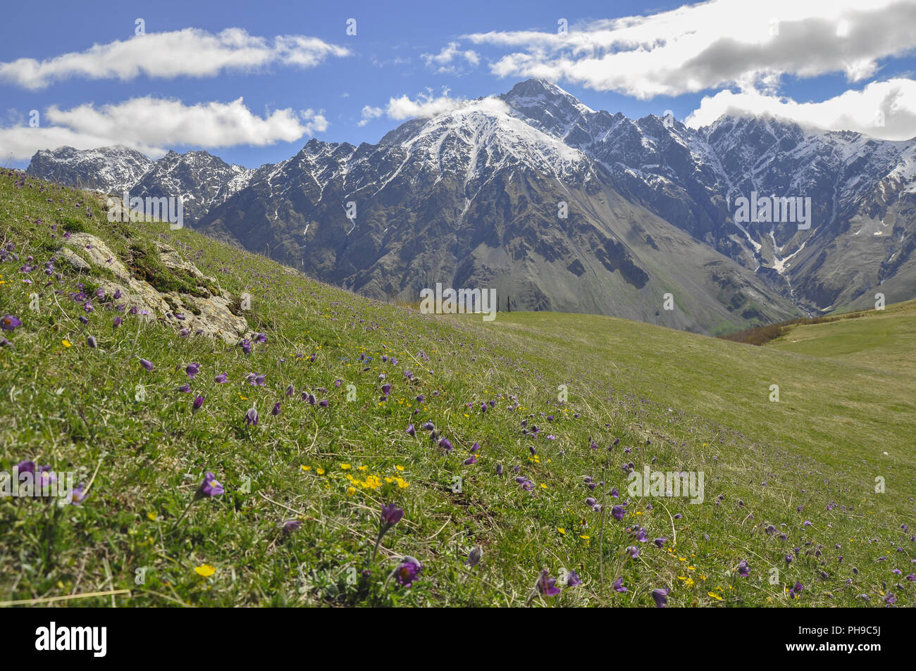 Georgia spring hi-res stock photography and images - Alamy