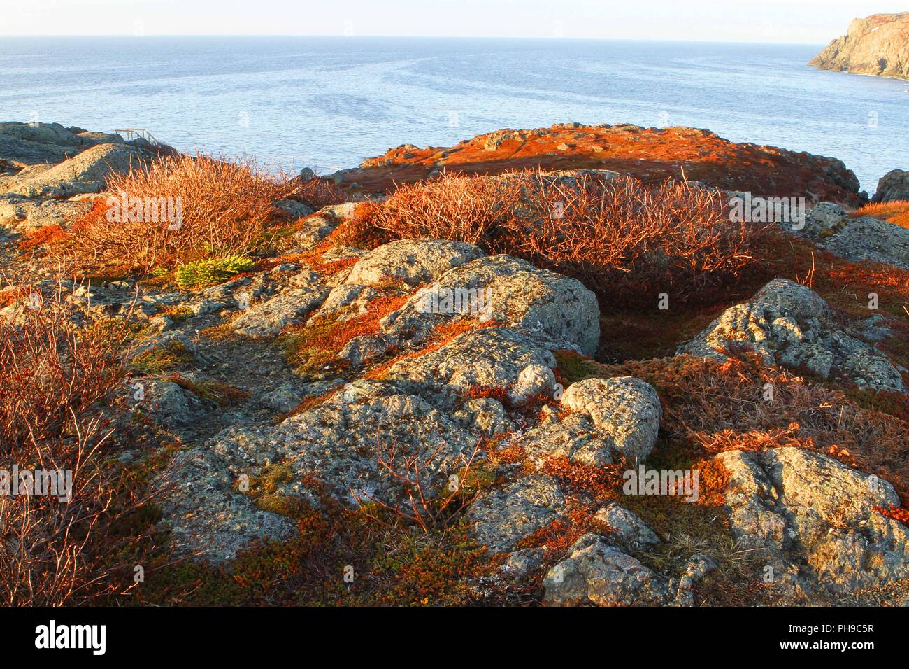 Trans canada highway newfoundland hi-res stock photography and images ...