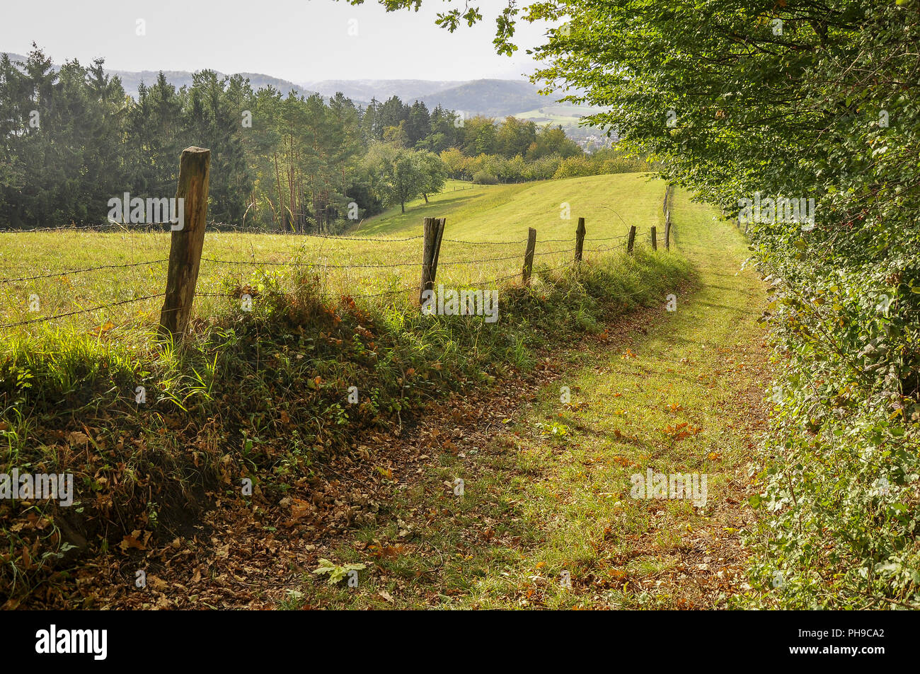 Michelbach an der bilz hi-res stock photography and images - Alamy