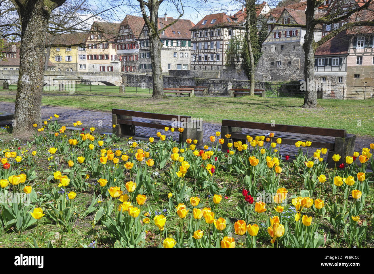 Spring hall hi-res stock photography and images - Alamy