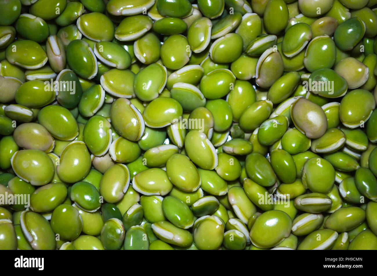 high protein colorful organic green peanuts on village food farm Stock ...
