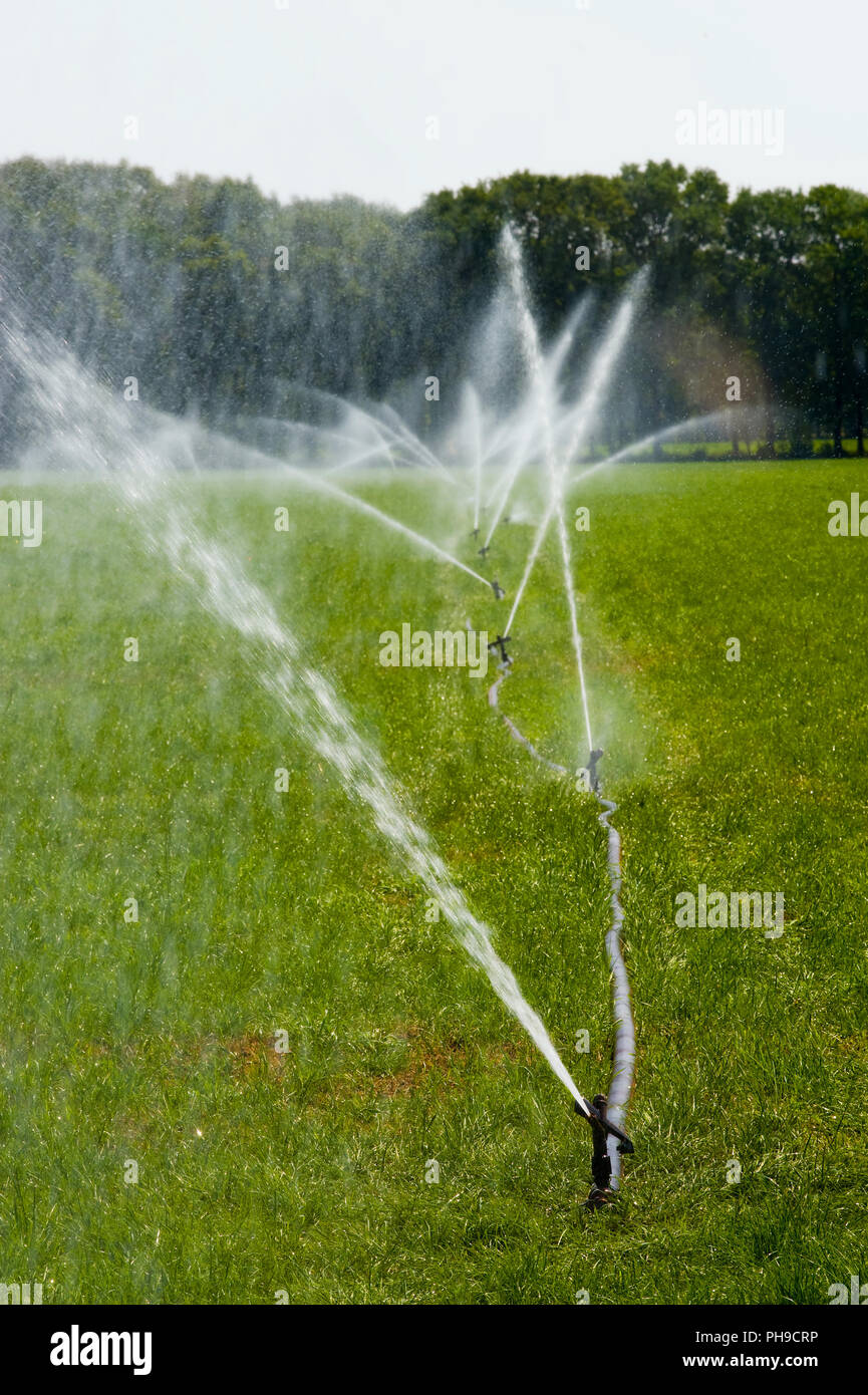 Summer farming with irrigation hi-res stock photography and images - Alamy