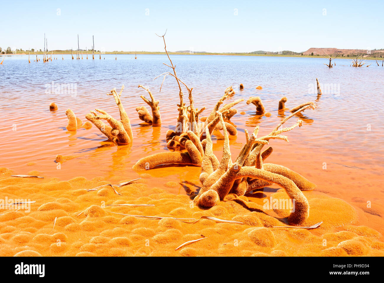 red polluted lake Stock Photo - Alamy