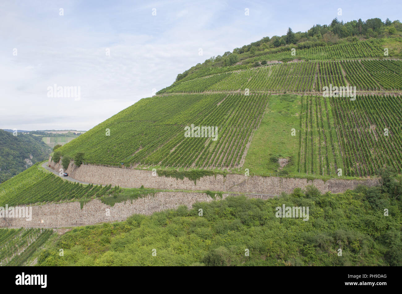 Rhine valley germany vineyards hi-res stock photography and images - Alamy