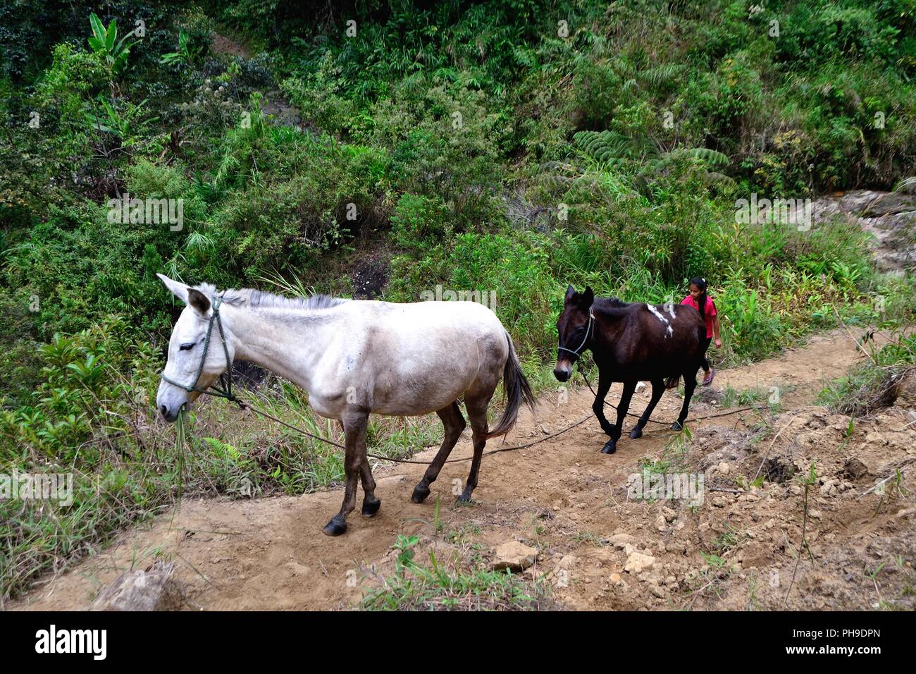 LA ZUNGA - Ecuador border -San Ignacio- Department of Cajamarca .PERU ...