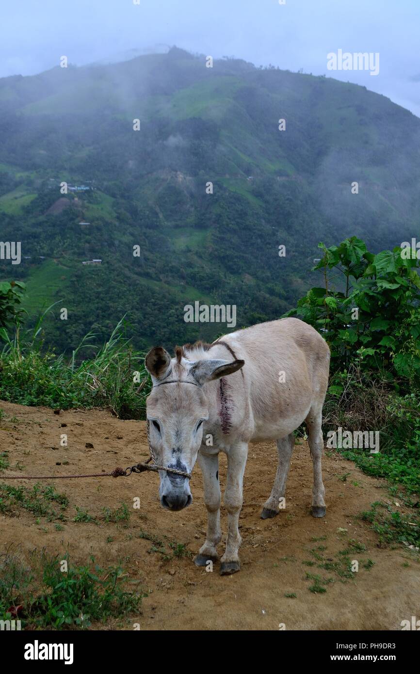 LA ZUNGA - Ecuador border -San Ignacio- Department of Cajamarca .PERU ...