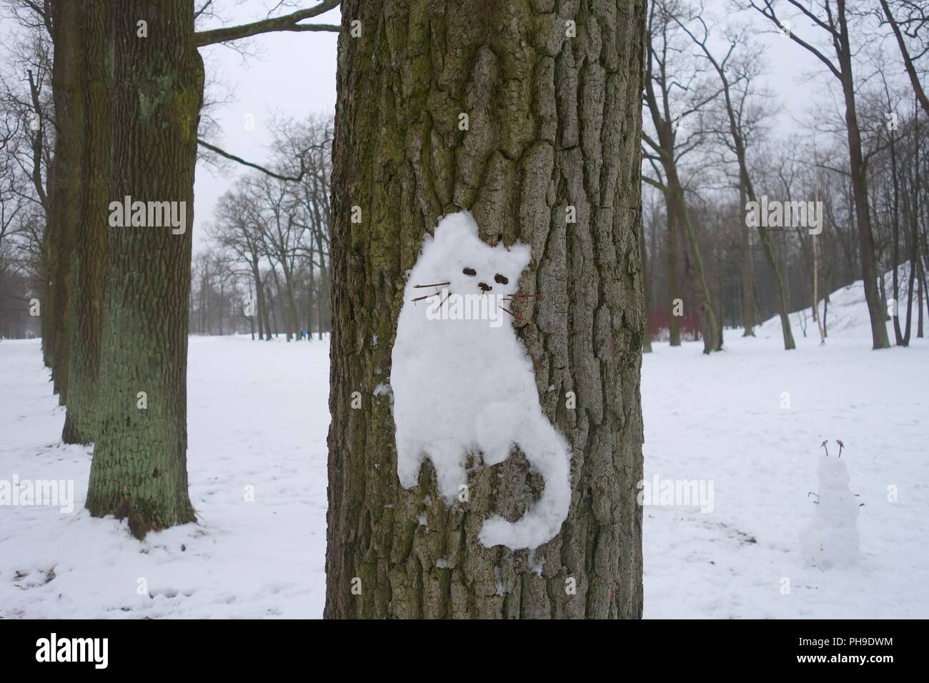 Cute snow cat Stock Photo - Alamy