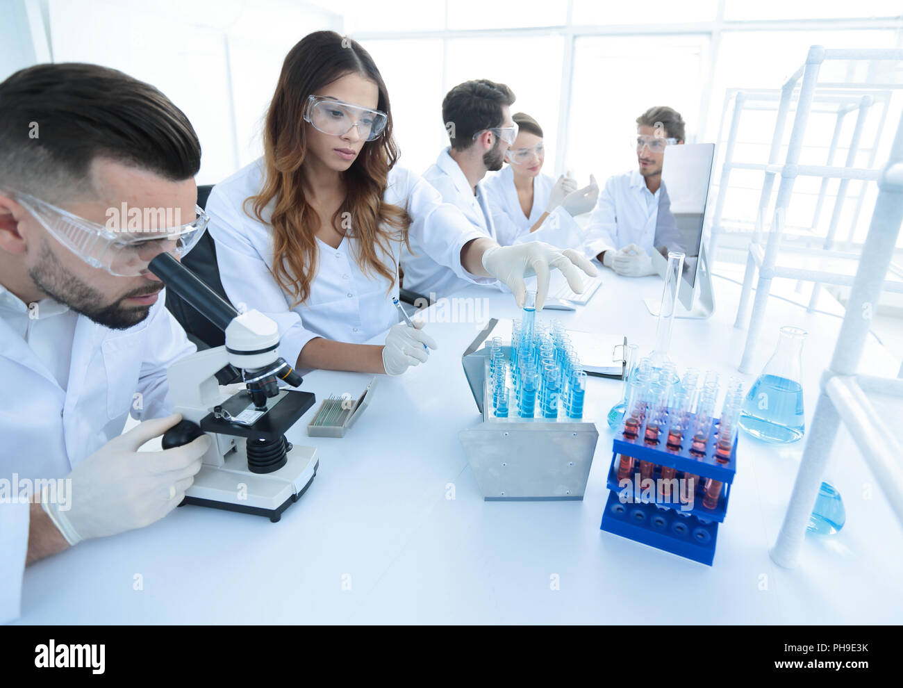 Scientists examining in the lab with test tubes Stock Photo - Alamy