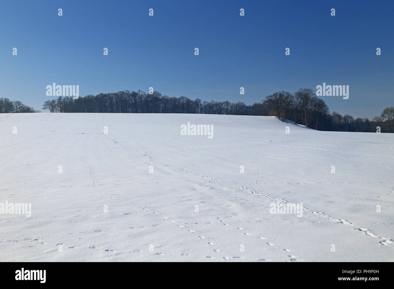 Winter landscape blue sky Stock Photo - Alamy