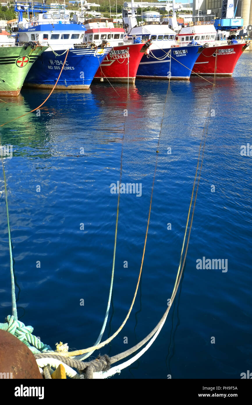 Canical madeira hi-res stock photography and images - Alamy