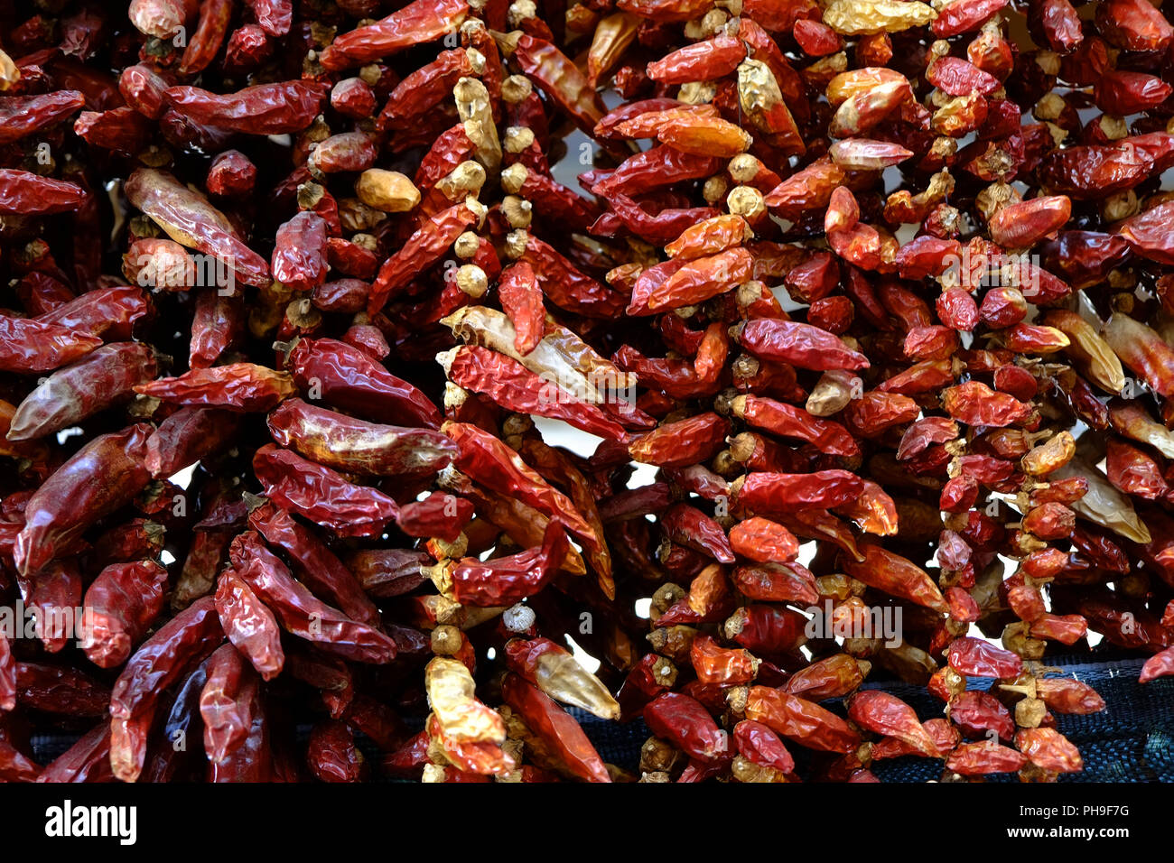 Dried peppers, pepperoni, market Funchal, Madeira Stock Photo - Alamy