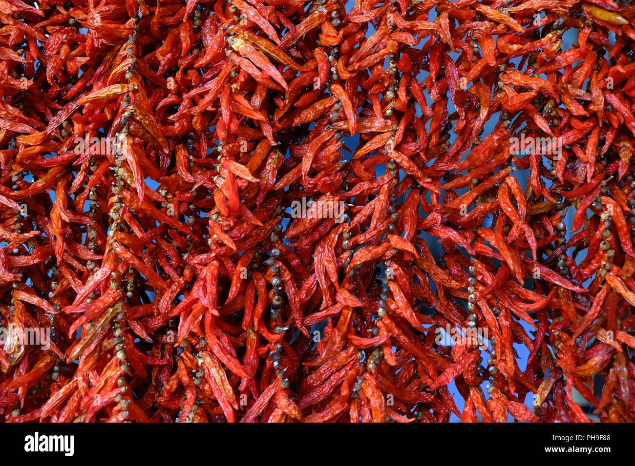 Dried peppers, pepperoni, market Funchal, Madeira Stock Photo - Alamy
