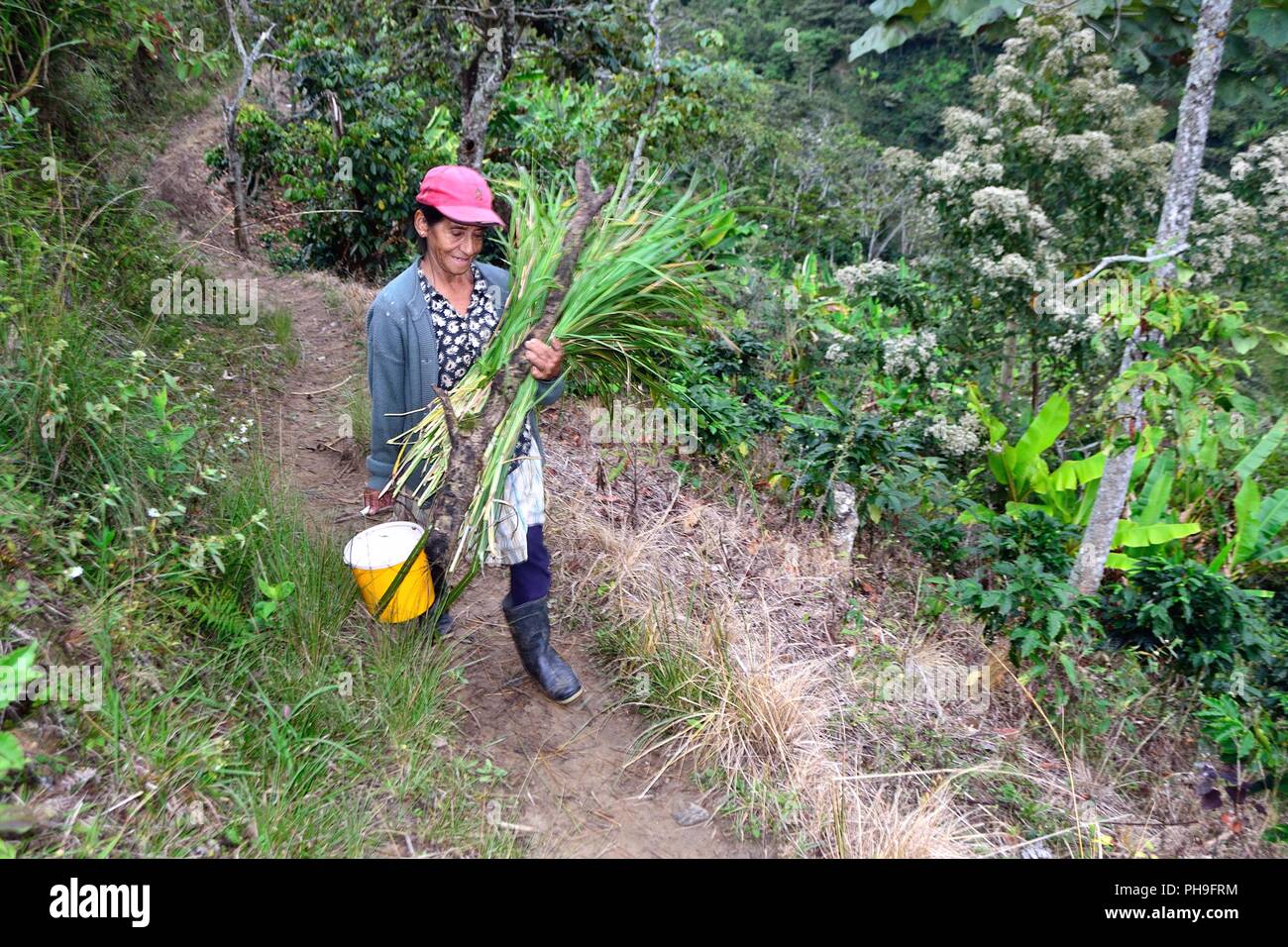 Border peasant woman hi-res stock photography and images - Alamy