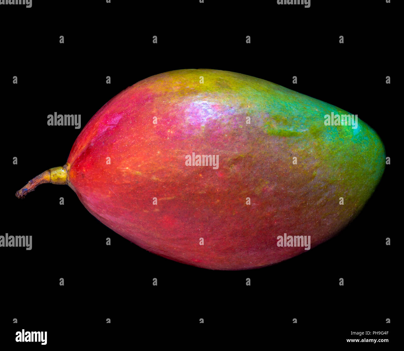 Fine art still life color macro image of a single isolated colorful ...