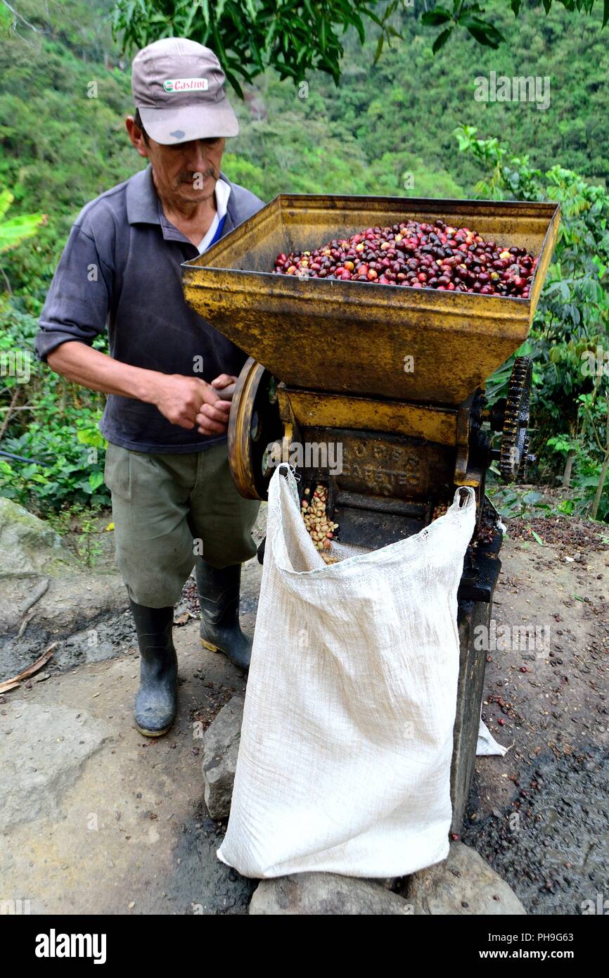 Coffee pulping machine hi-res stock photography and images - Alamy