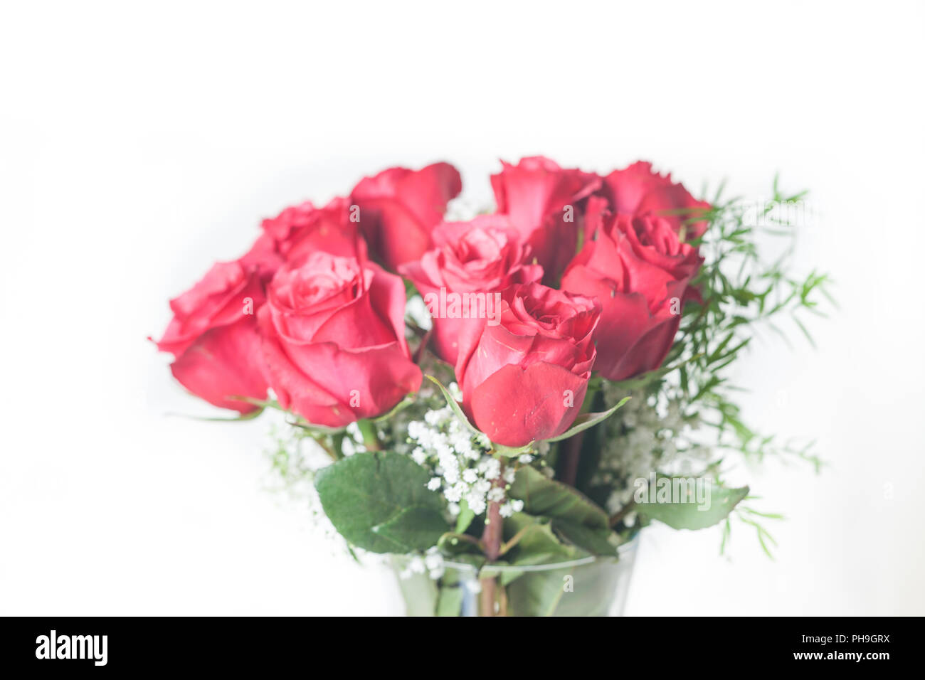 Buy red rose hi-res stock photography and images - Alamy