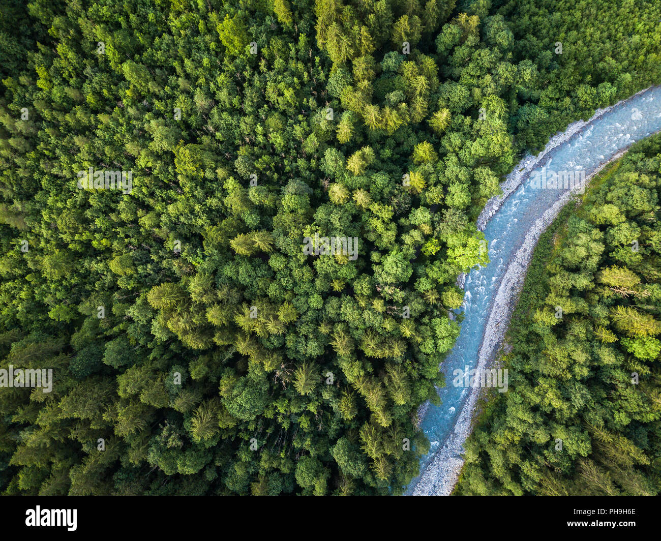 Aerial top view of summer green trees in forest with a splendid ...