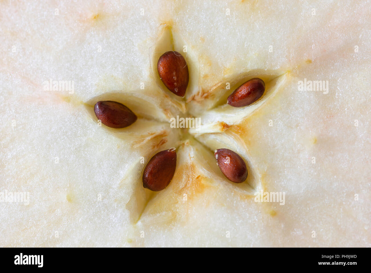 Macro of a cut apple, showing the seeds in a delicate five pointed star ...