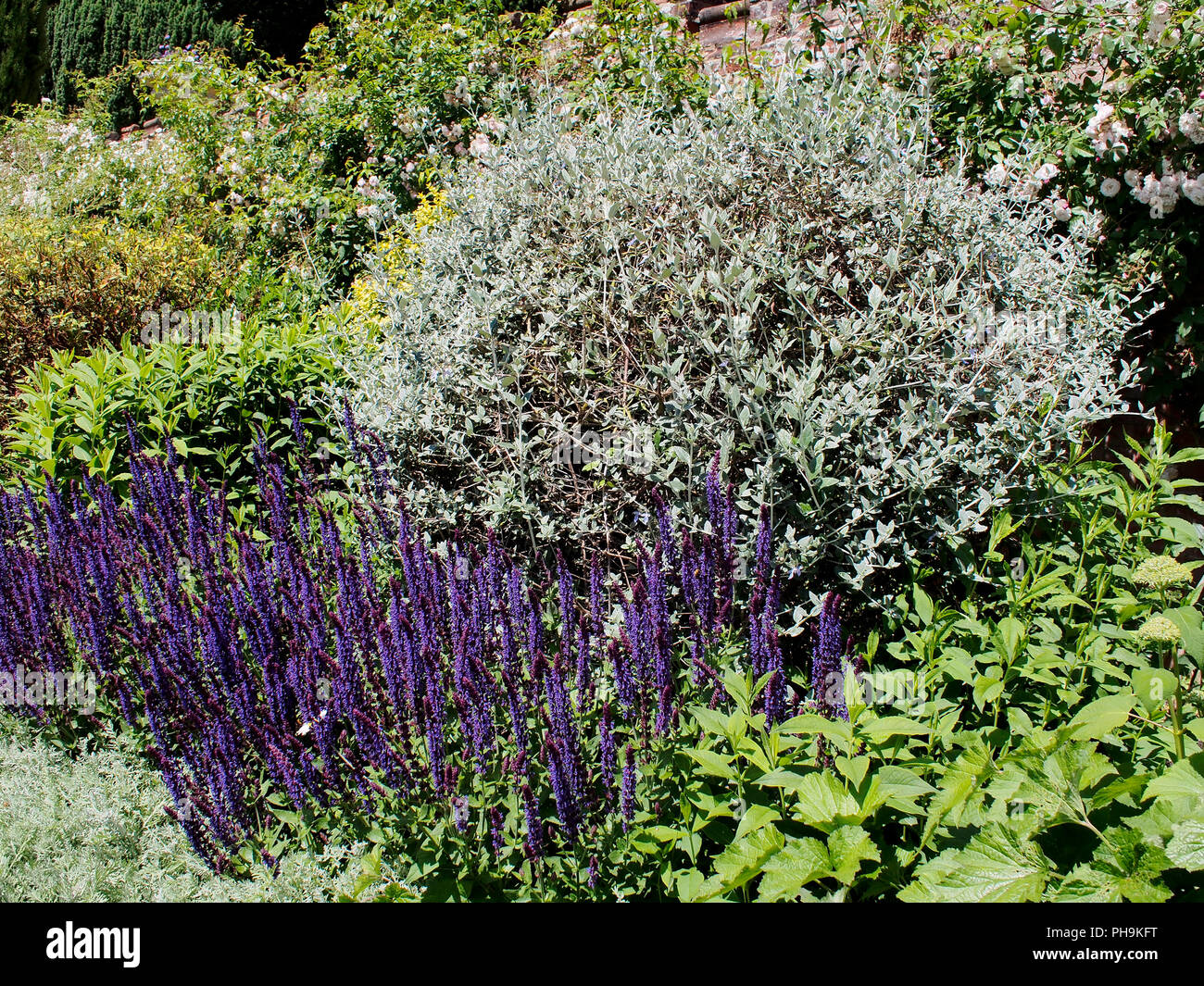 Part of the stunning gardens created by the late John Hedgecoe at his ...