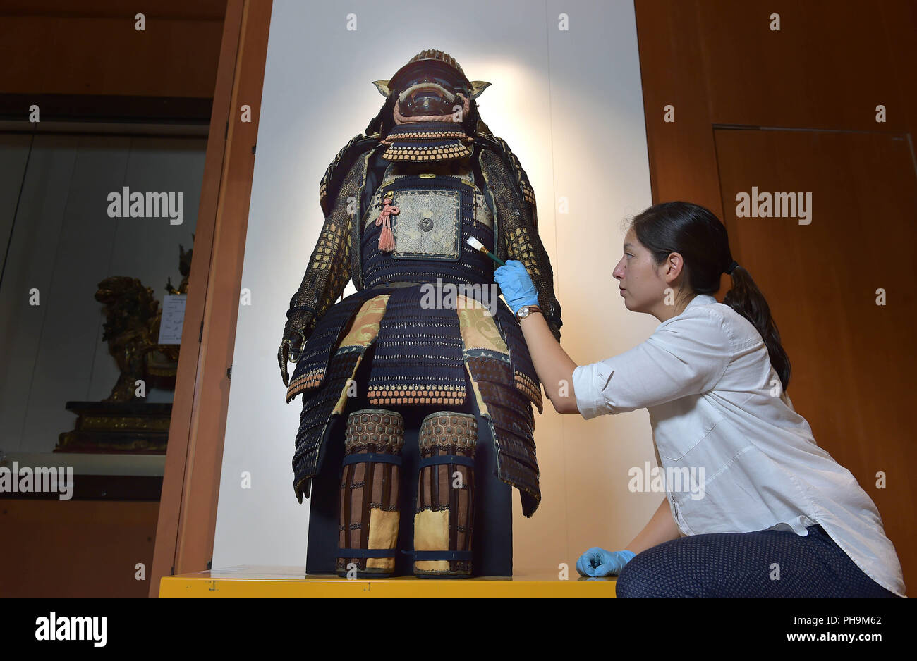 Tania major hi-res stock photography and images - Alamy