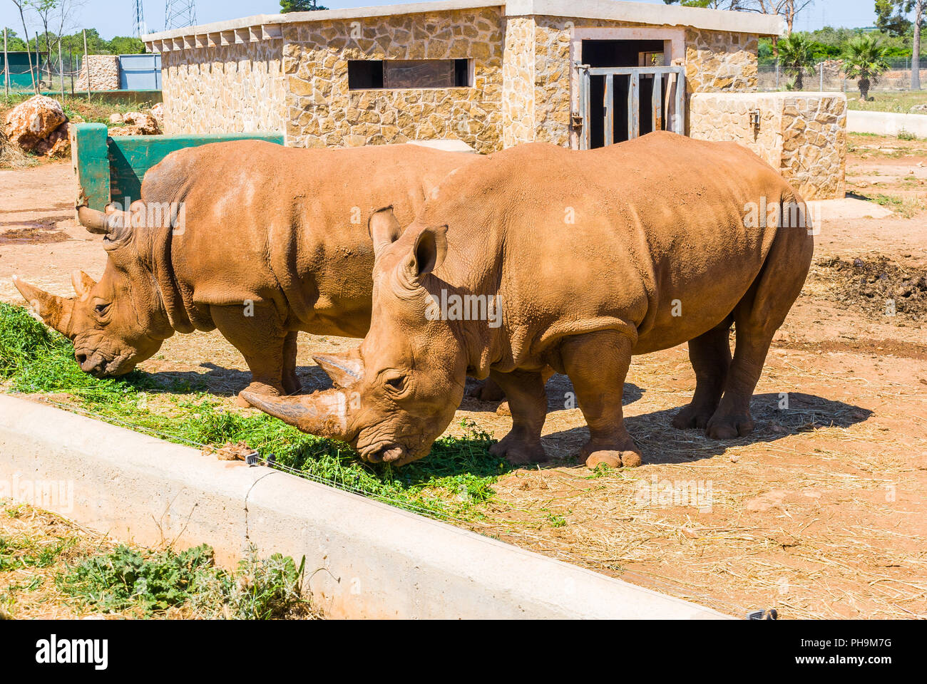 Safari zoo majorca hi-res stock photography and images - Alamy