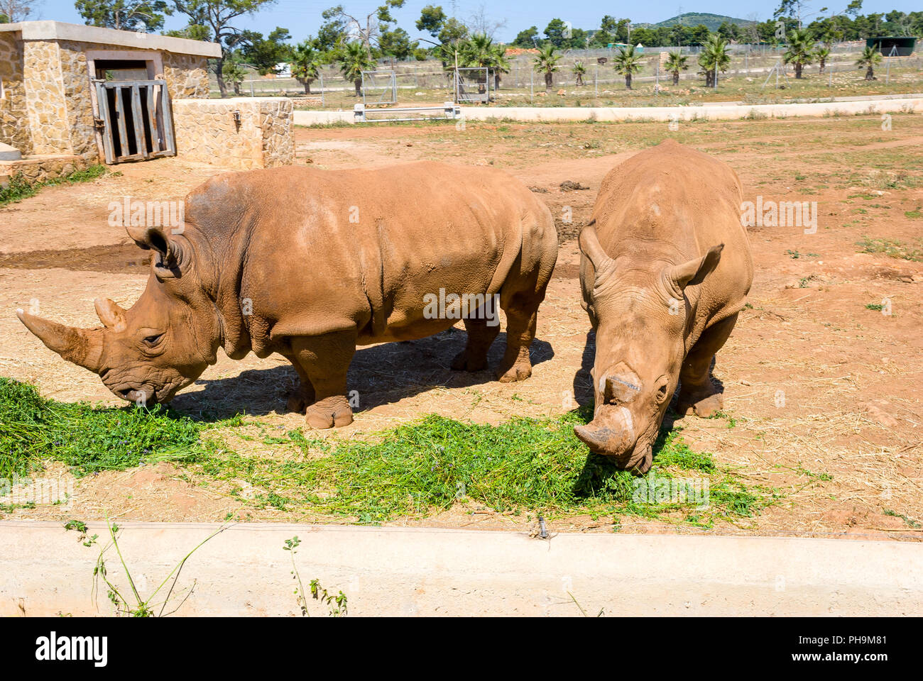 Safari zoo majorca hi-res stock photography and images - Alamy