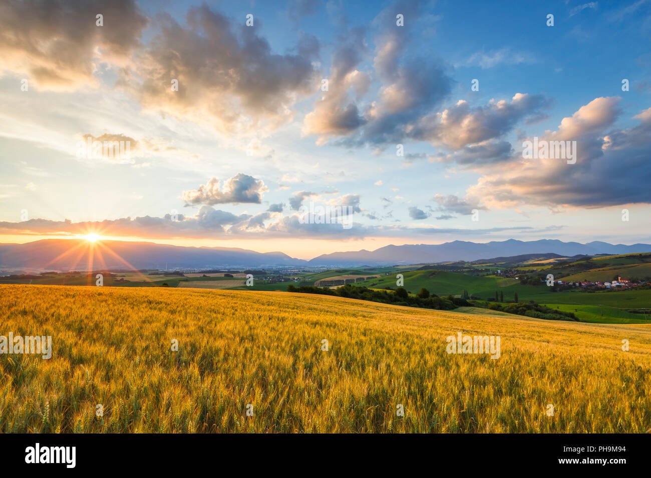 Rural landscape with wheat fields and a villages in Turiec region ...