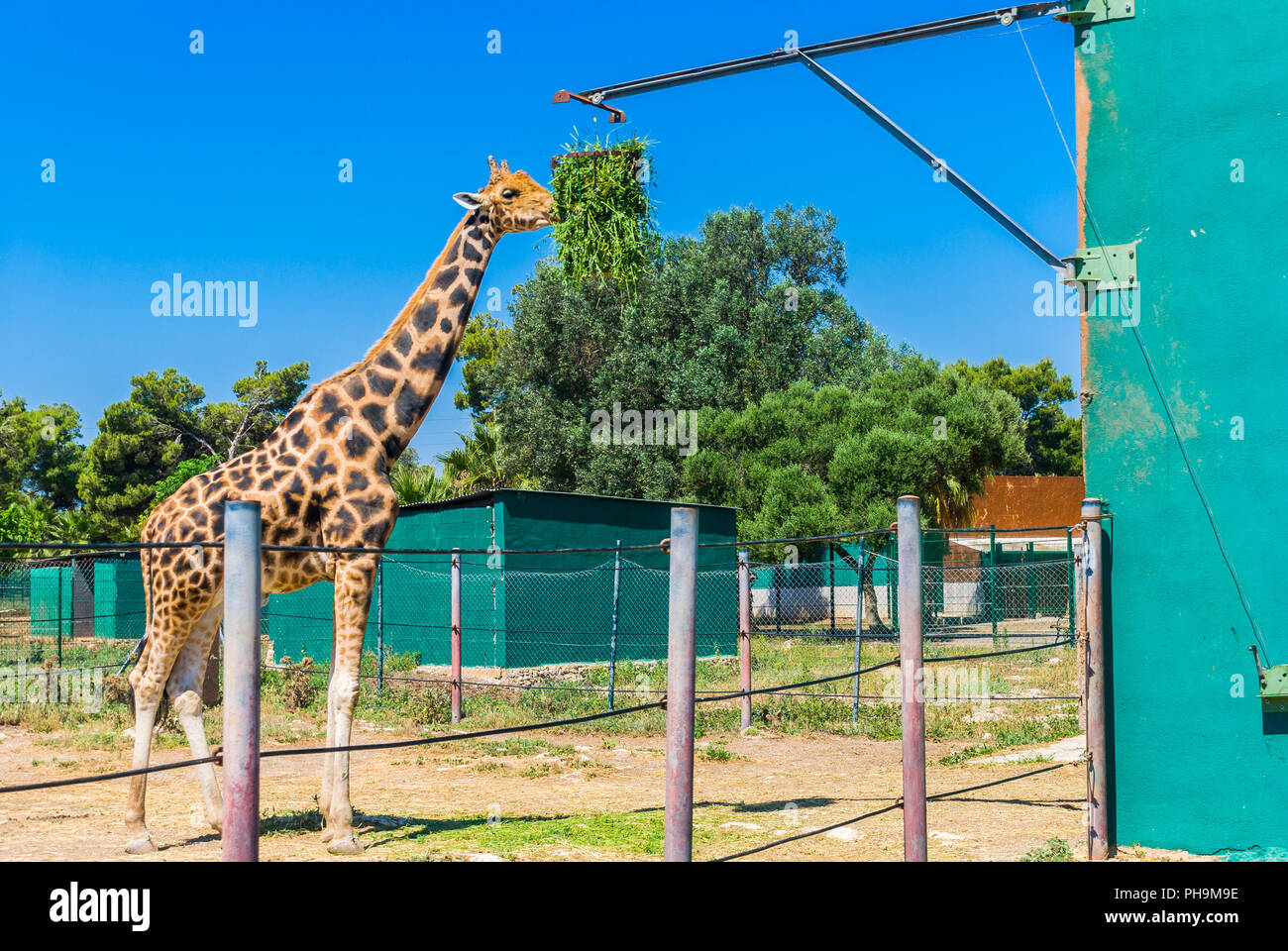 Safari zoo majorca hi-res stock photography and images - Alamy