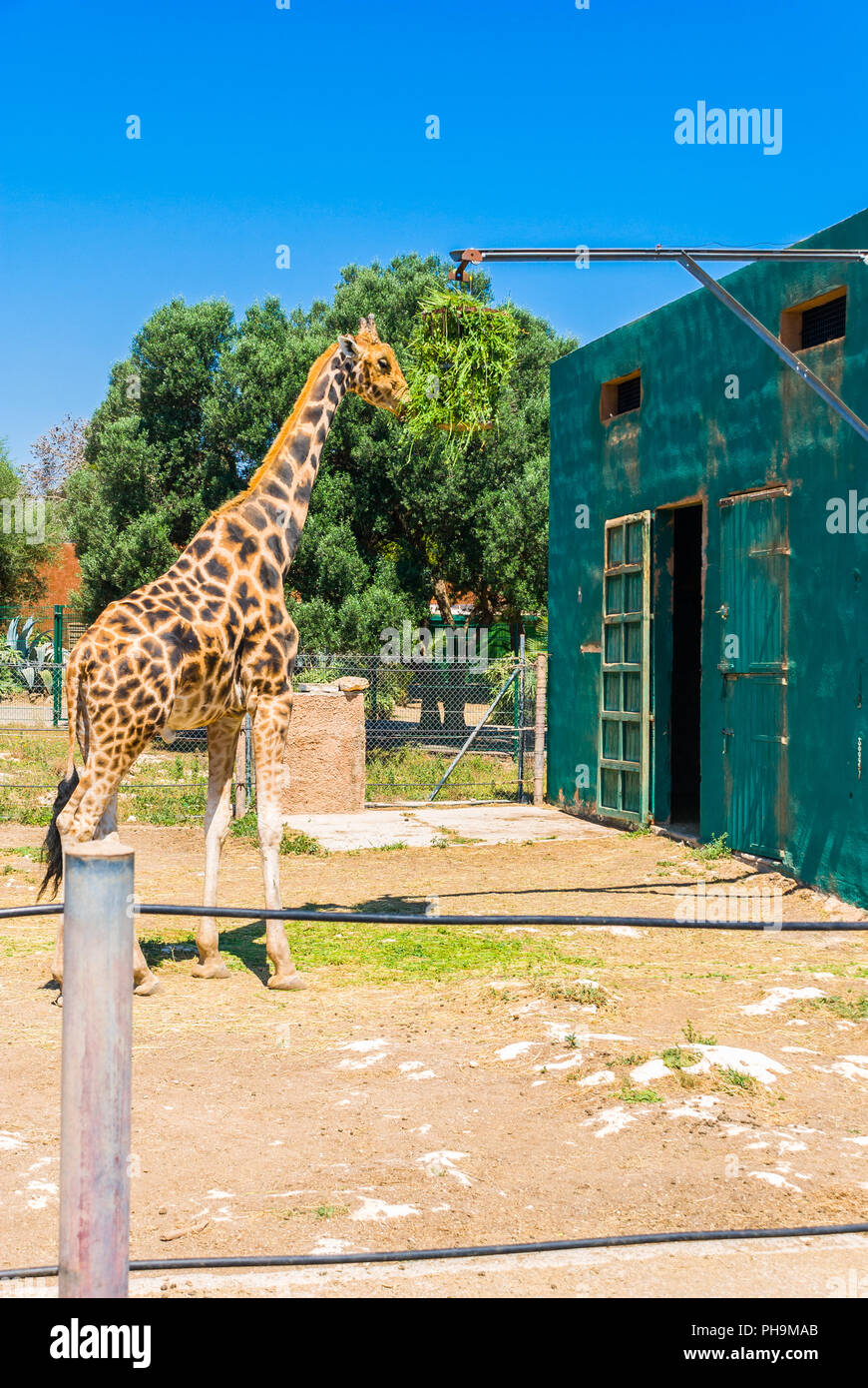 Safari zoo majorca hi-res stock photography and images - Alamy