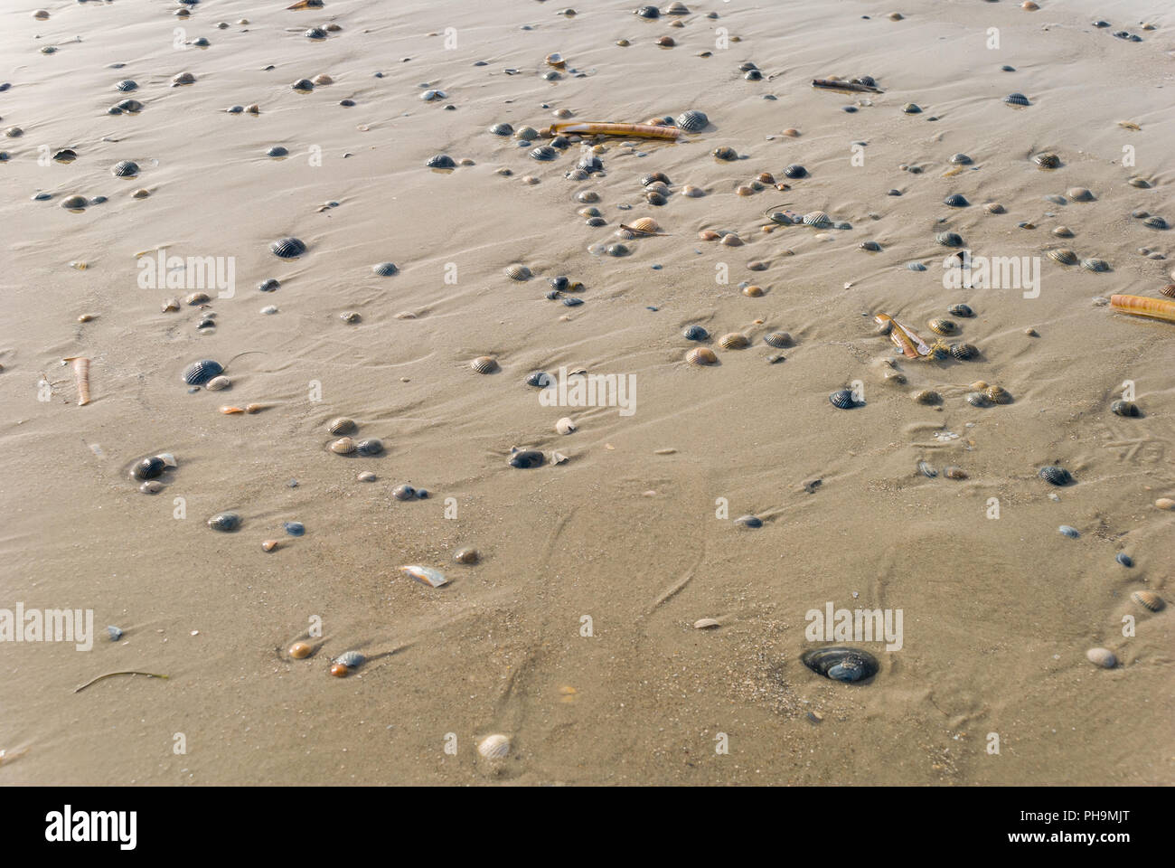 North Sea Background/ Texture Stock Photo - Alamy