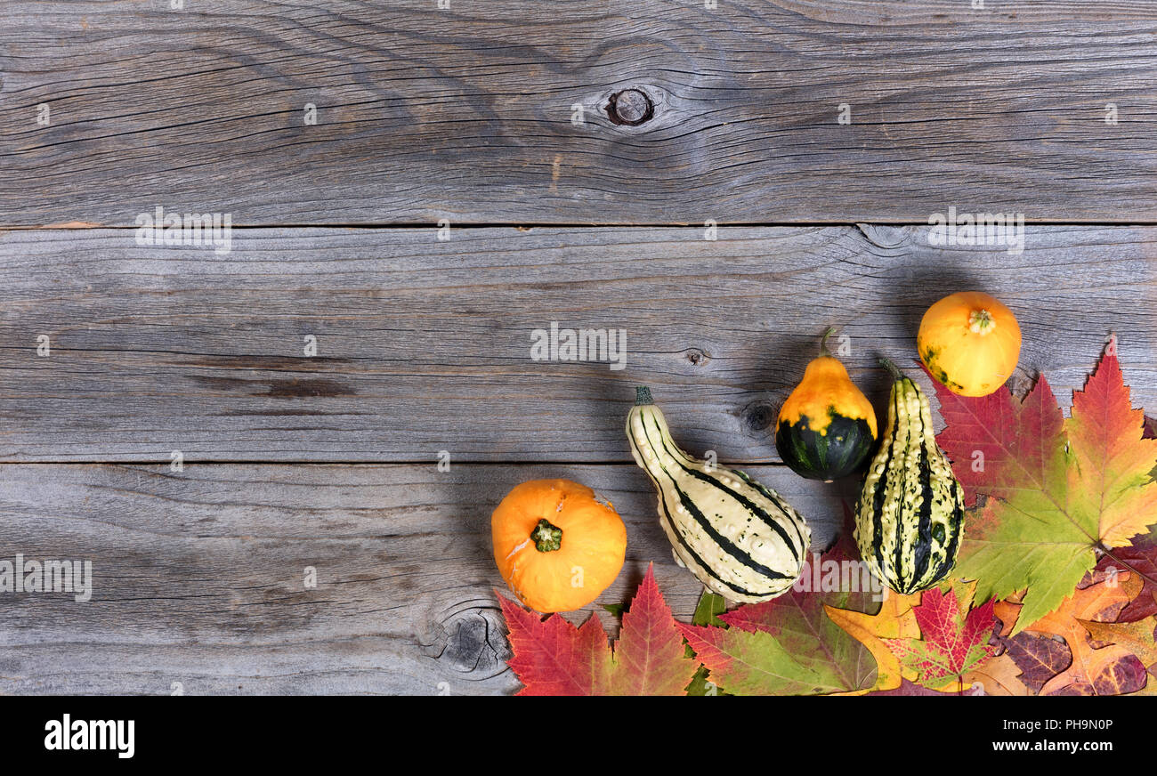 Real autumn gourd decorations and leaves on rustic wooden boards Stock ...